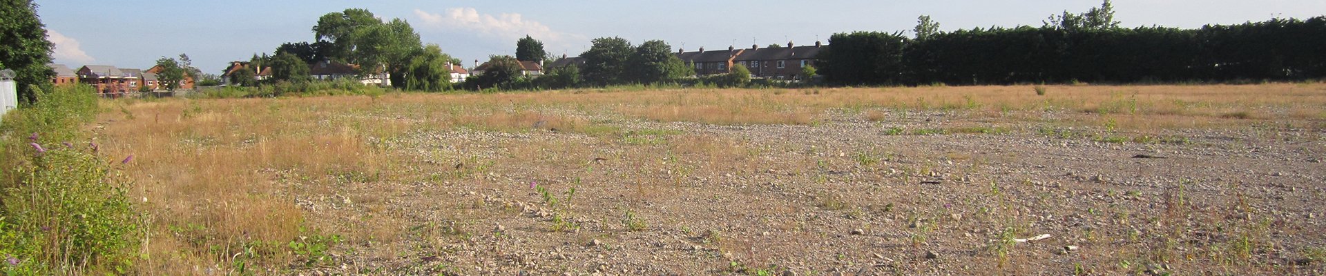 B-Lines Mapping - Buglife