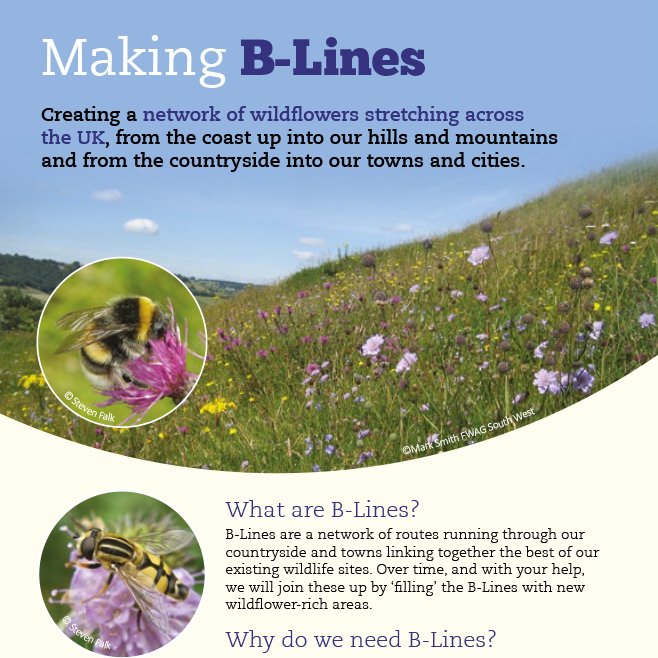 Community Group Guidance - Buglife