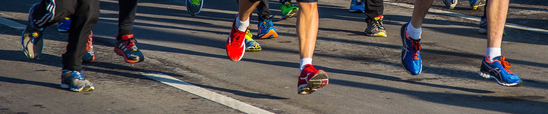 Marathon for Bugs - Buglife