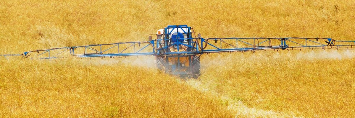 Neonicotinoid Insecticides - Buglife