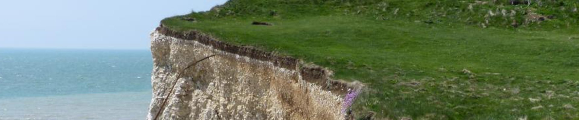 Soft Rock Cliffs Hub - Buglife