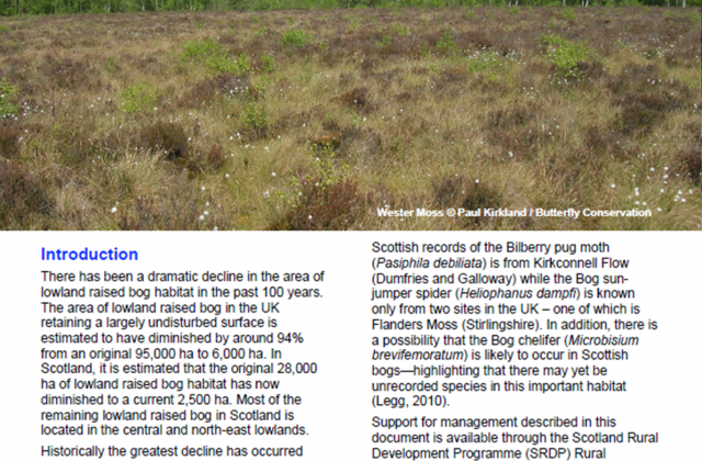 Habitat management - Buglife
