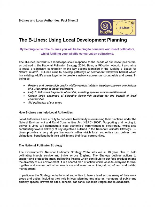 Local Authority Guidance - Buglife