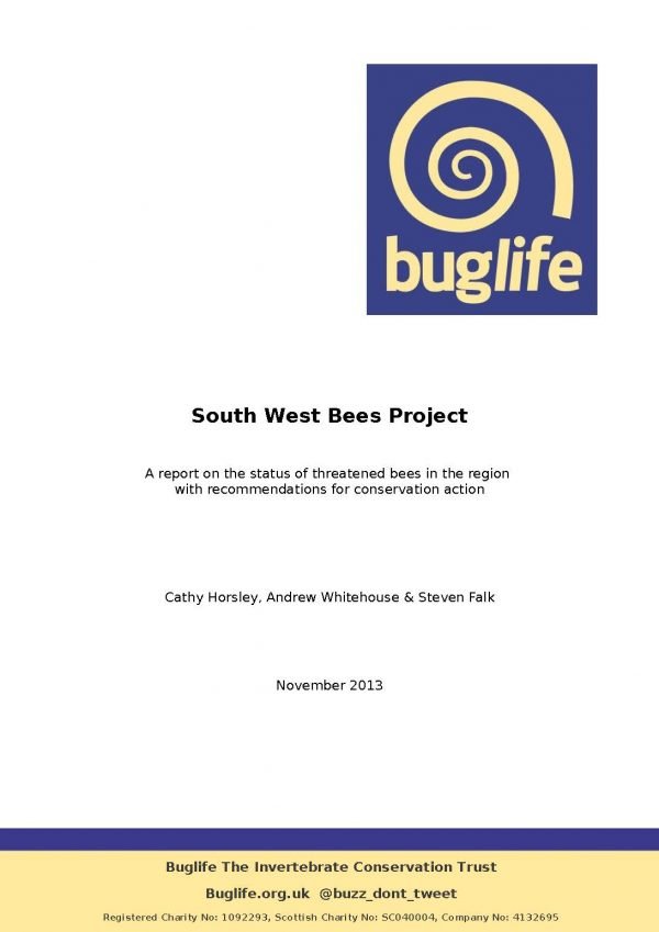 Pollinator Reports - Buglife