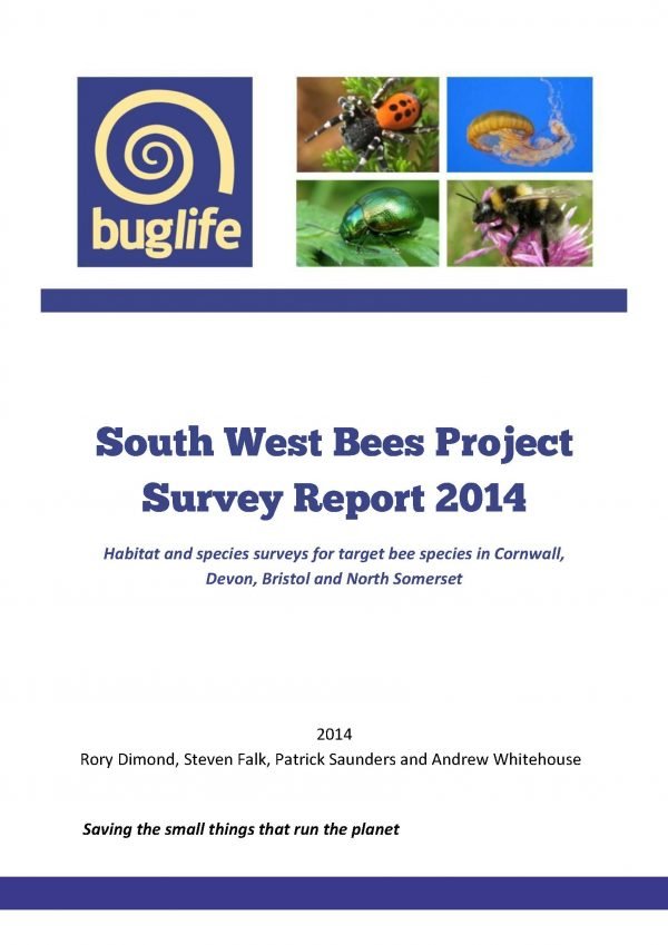 Pollinator Reports - Buglife