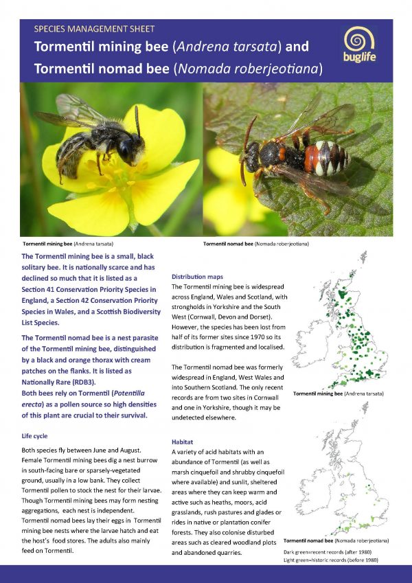 Species Management - Buglife