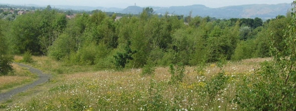 Fallin Bing 'From Coalfield to Brownfield' - Buglife projects