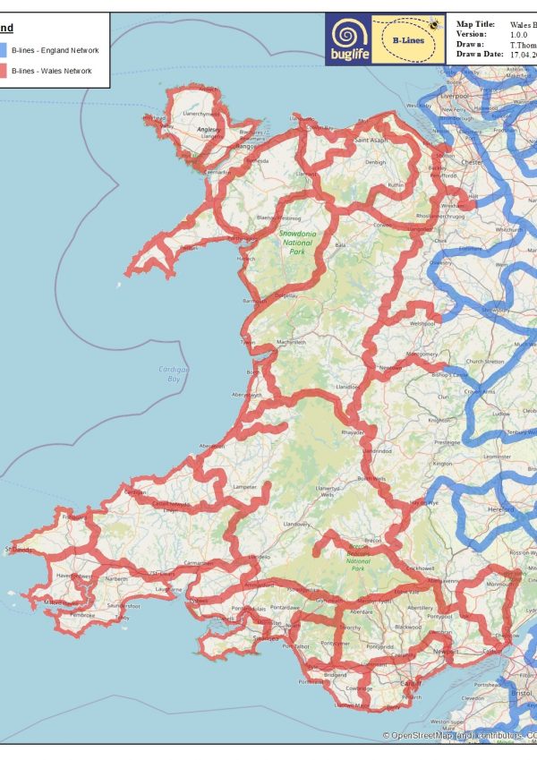 Downloadable B-Lines Maps - Buglife
