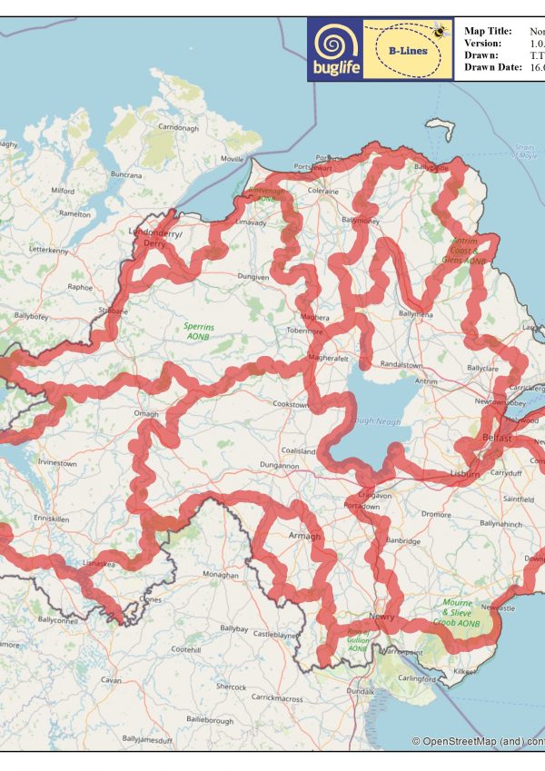Downloadable B-Lines Maps - Buglife