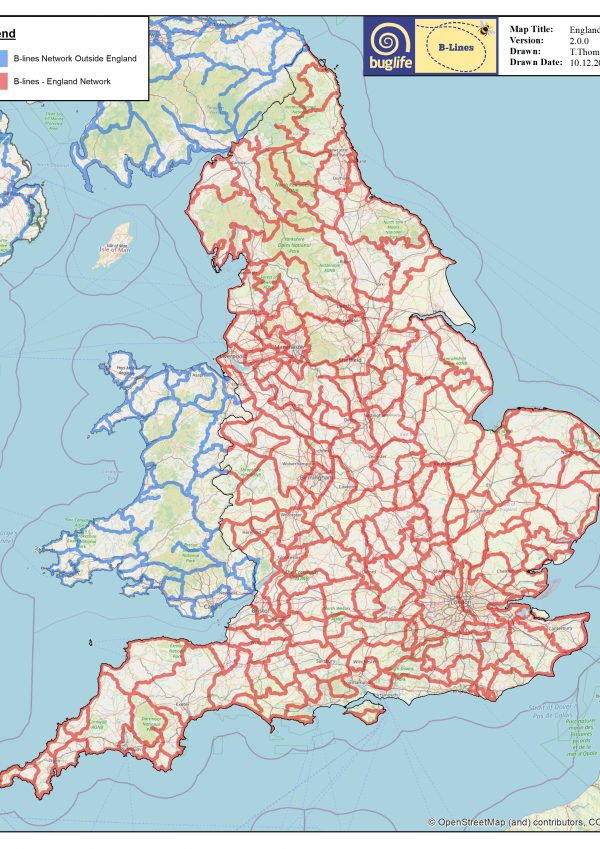 Downloadable B-Lines Maps - Buglife