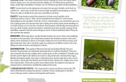 Community resources - Buglife