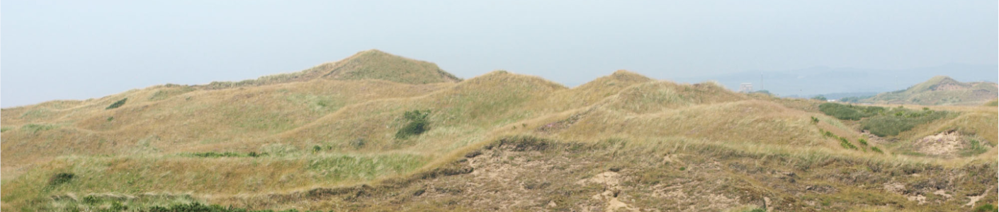 Ardeer Peninsula - Scotland’s bee haven - Buglife