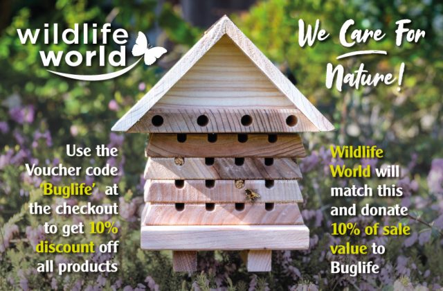 Corporate Partnerships - Buglife