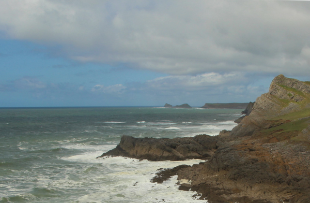 Species Recovery Projects - Buglife