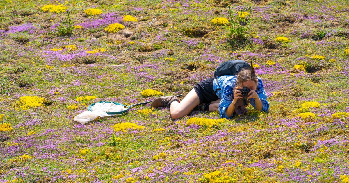 Aurum Membership - Buglife