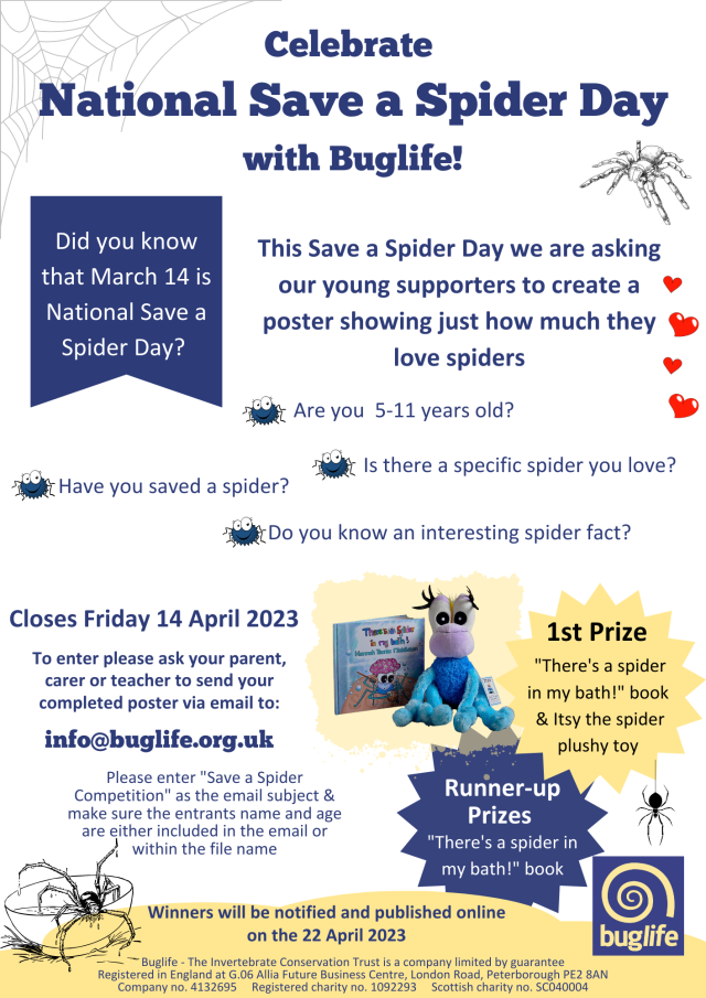 Celebrate National Save a Spider Day with Buglife's Poster Competition ...