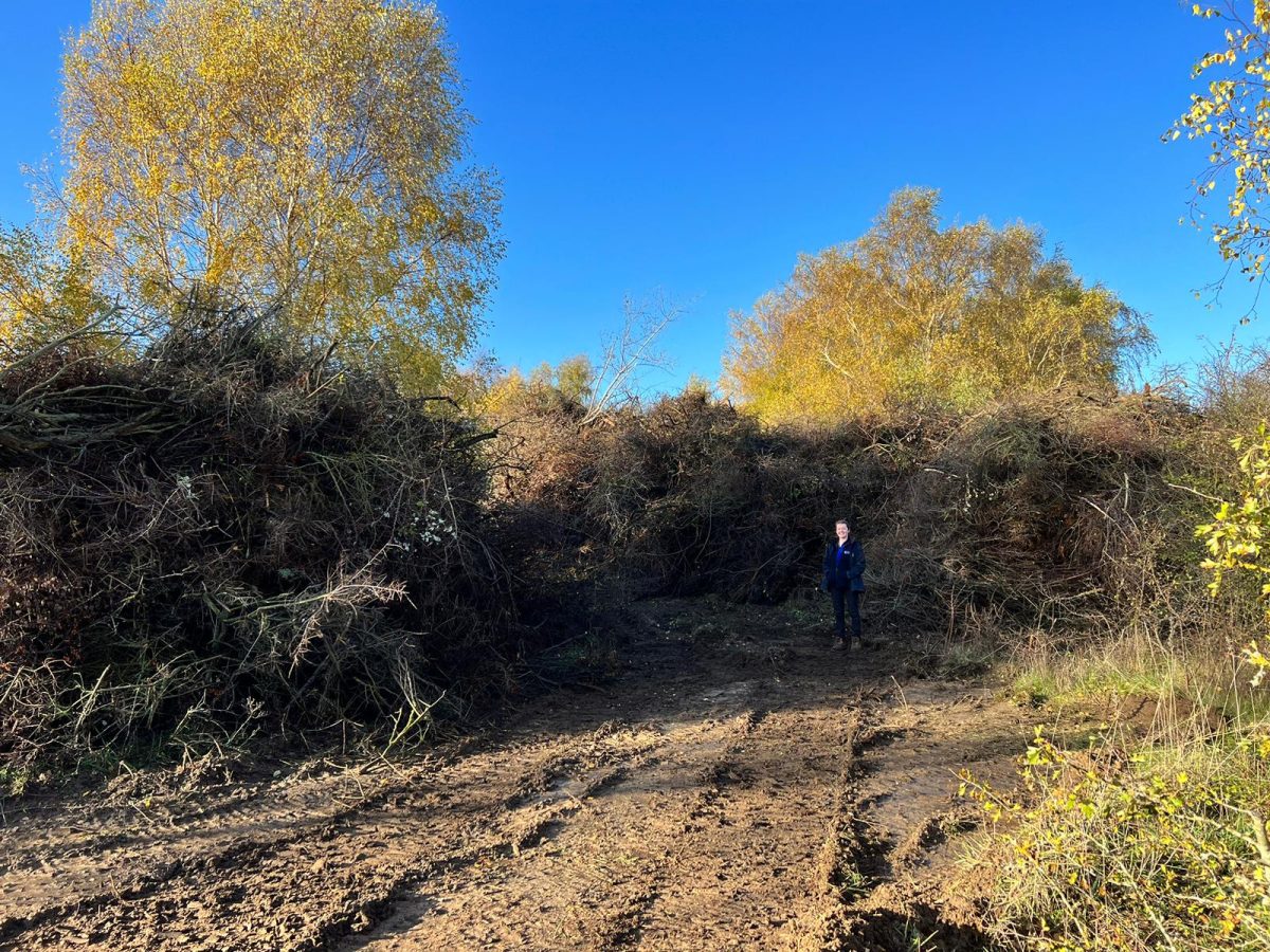 Spring has sprung at Canvey Wick! - Buglife Blog - Buglife