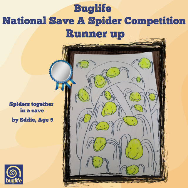 Buglife National Save a Spider Day Poster Competition Winners ...