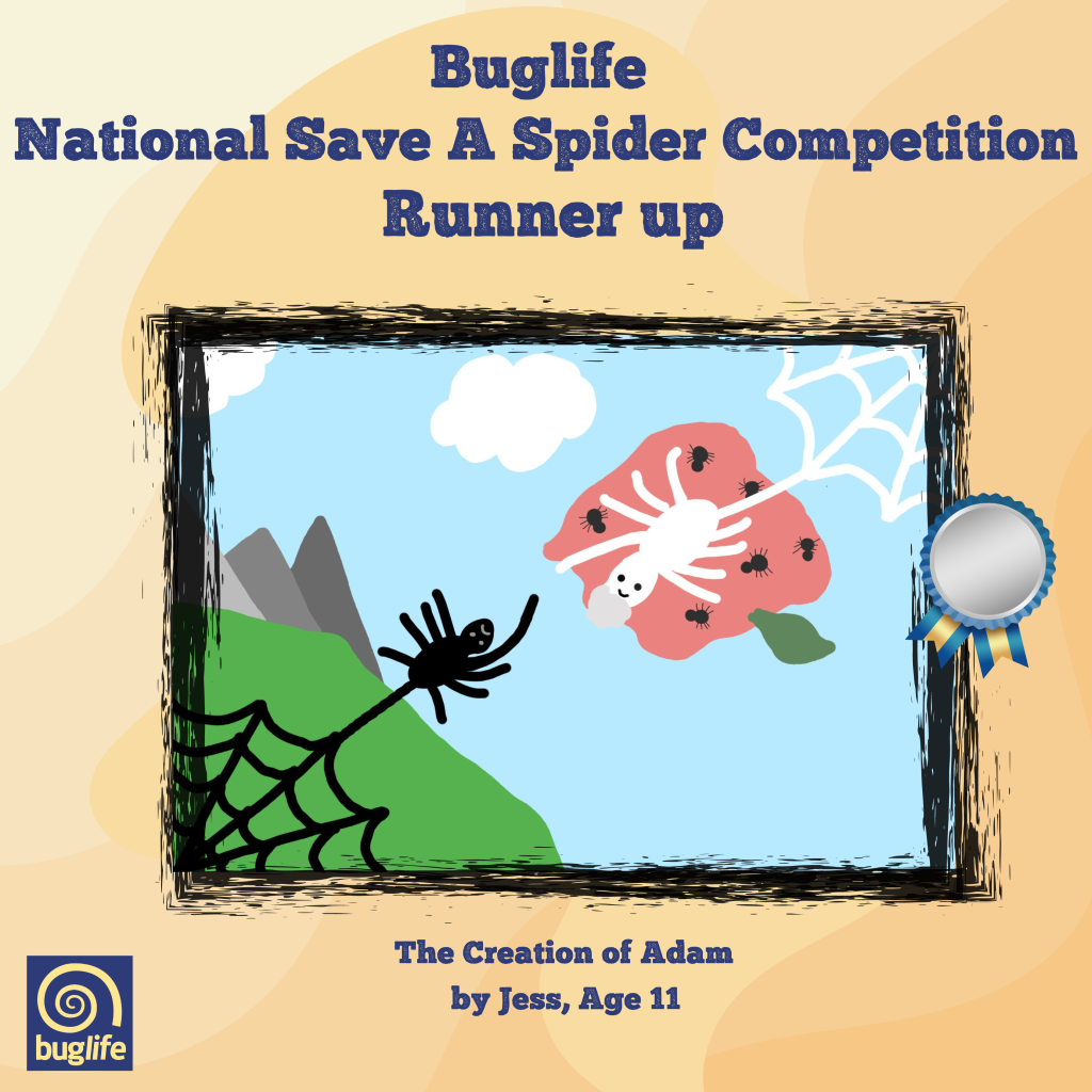 Buglife National Save a Spider Day Poster Competition Winners ...