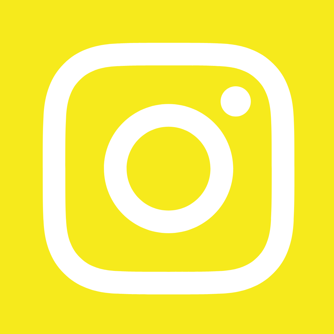 An introduction to the Large Scabious Mining Bee - Buglife Blog - Buglife