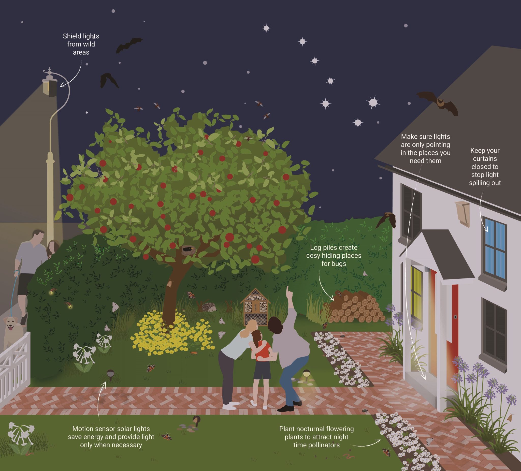 Conservation Charity calls for public’s help to “Nurture the Night ...