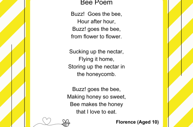 Solitary Bee Poems & Prose - Buglife