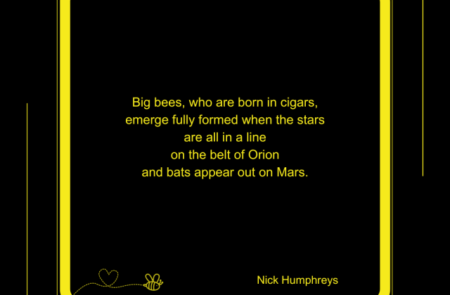 Solitary Bee Poems & Prose - Buglife