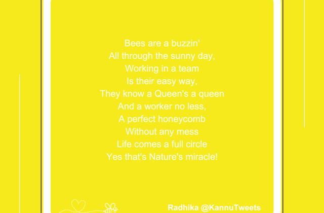 Solitary Bee Poems & Prose - Buglife