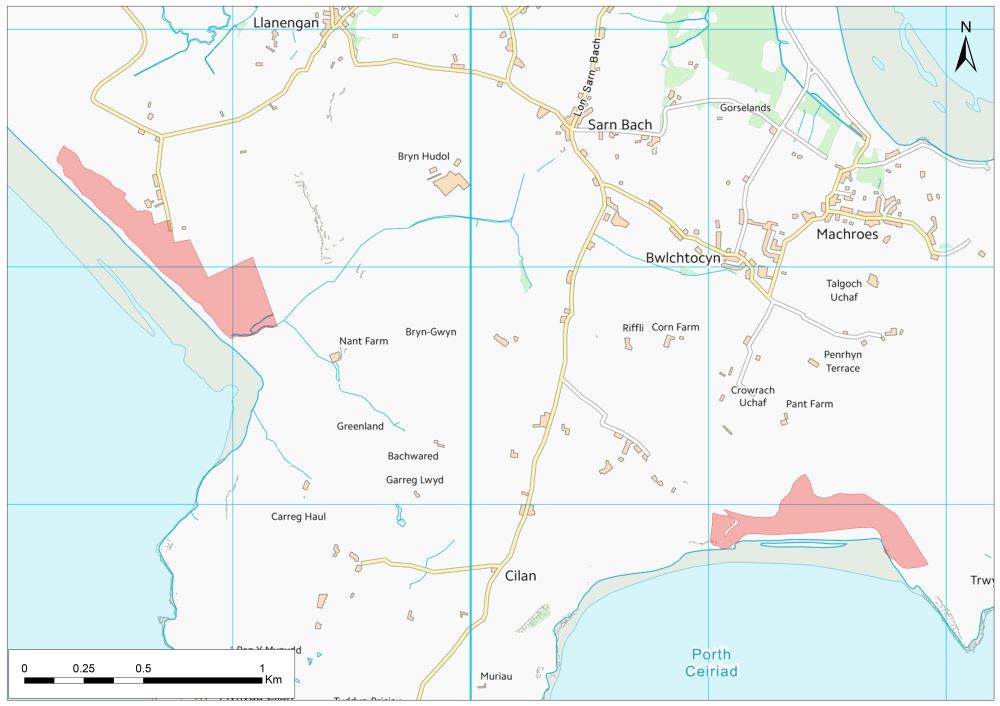 Single Species IIAs - Buglife