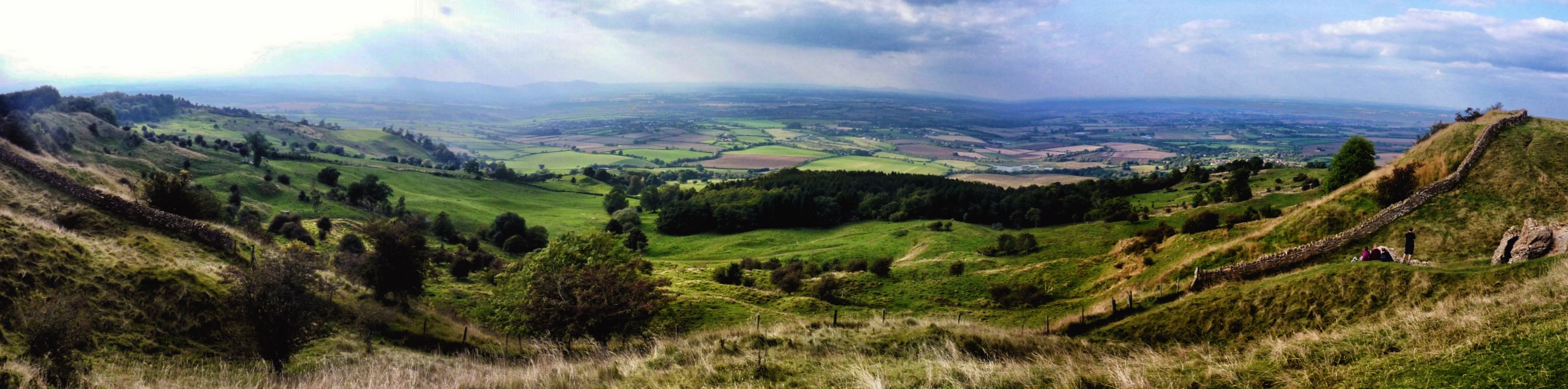 Single Species IIAs - Buglife