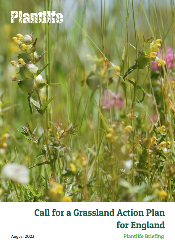 The Grassland GAP - Buglife Blog - Buglife