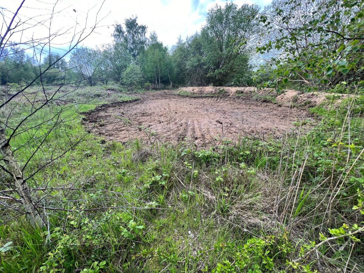 Canvey Wick ~ the journey so far... - Buglife