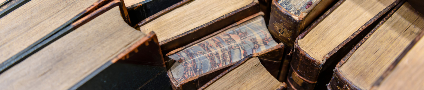 IIA Document Library - Buglife