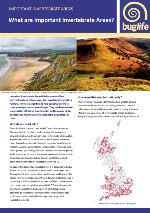 IIA Document Library - Buglife