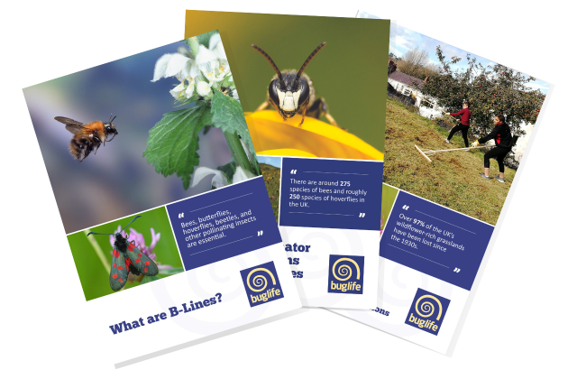 Pollinator Guidance - Buglife