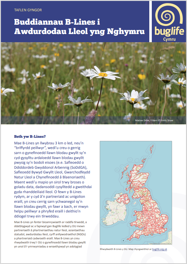 Local Authority Guidance - Buglife