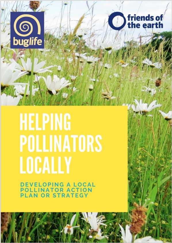 Local Authority Guidance - Buglife