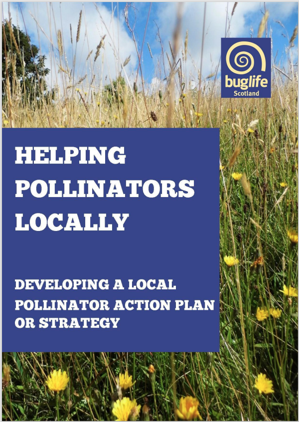 Local Authority Guidance - Buglife