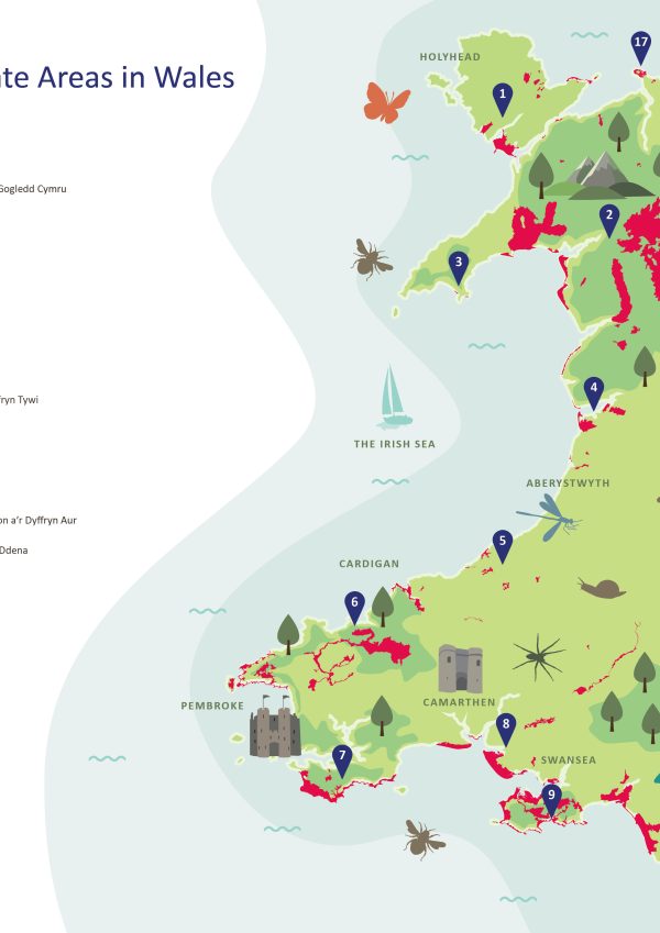 IIA Document Library - Buglife