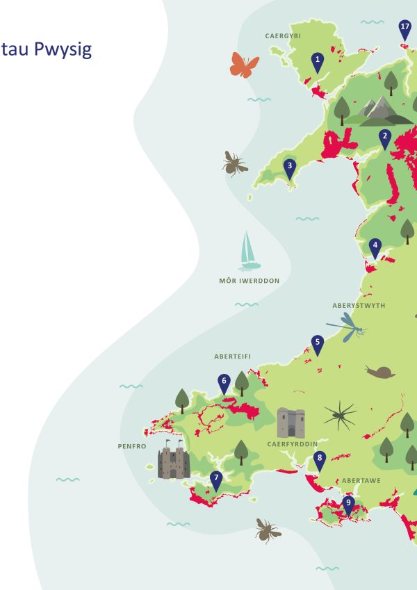 Llyfrgell Ddogfennau AIP - Buglife