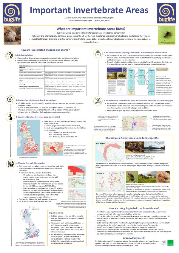 IIA Document Library - Buglife