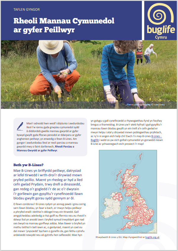 Local Authority Guidance - Buglife