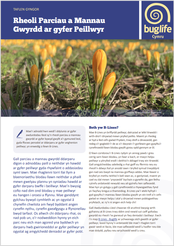 Local Authority Guidance - Buglife