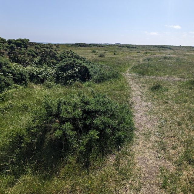 Northern Ireland Coastal Invertebrates - Buglife projects