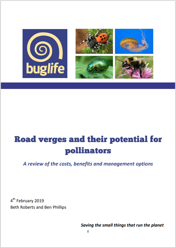 Local Authority Guidance - Buglife