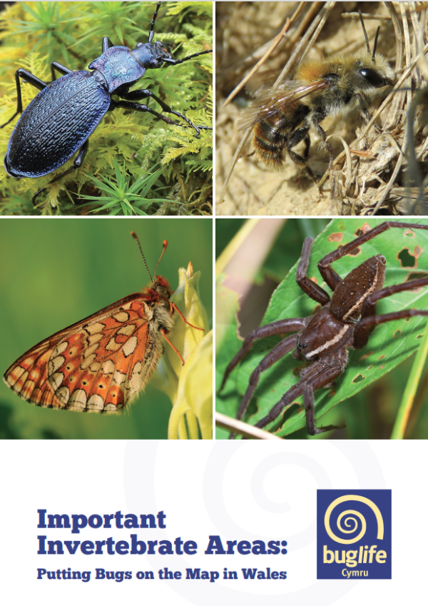 IIA Document Library - Buglife