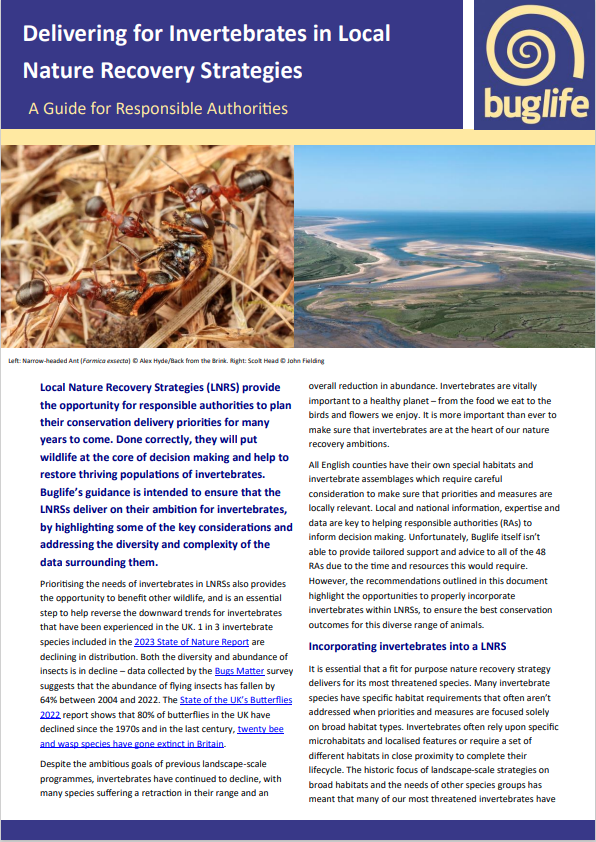 Local Nature Recovery Strategy Guidance in England - Buglife