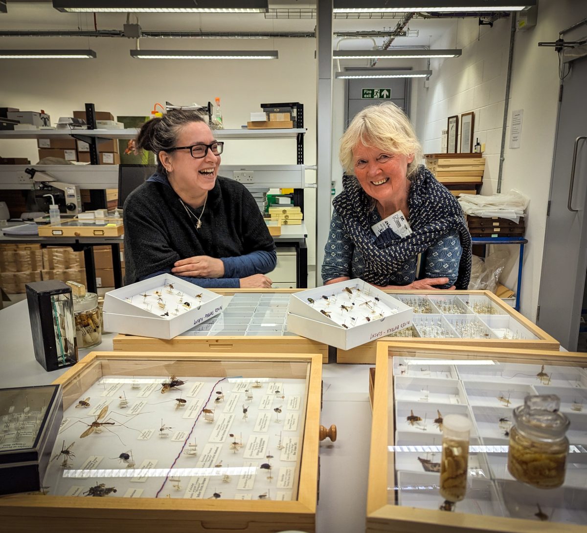 Meeting Sally... - Buglife Blog - Buglife