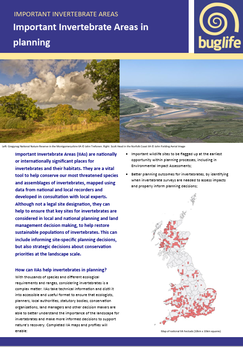 IIA Document Library - Buglife