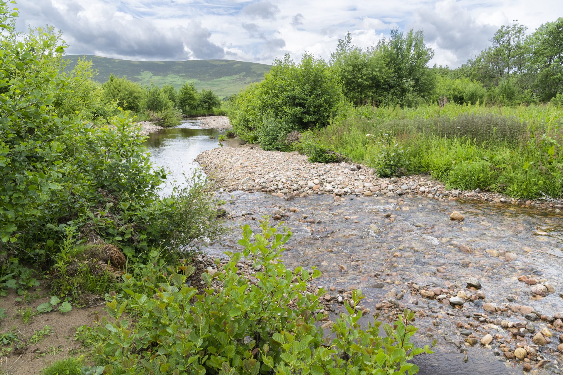 The Rivers Wild - Buglife Blog - Buglife